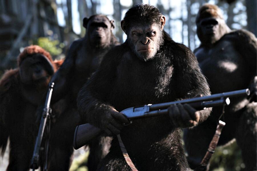 From The Empire Strikes Back To Apocalypse Now Here Are The Films