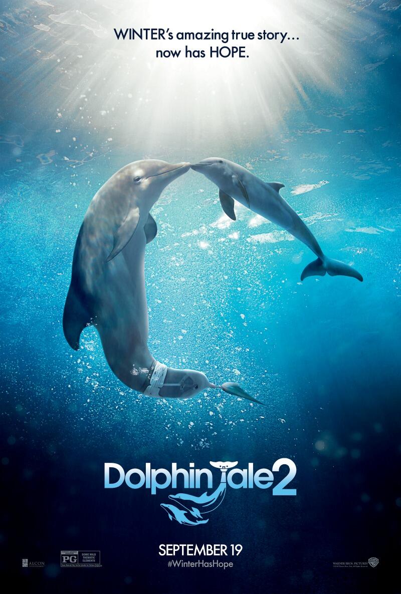 'Dolphin Tale 2' Poster Premiere | Fandango