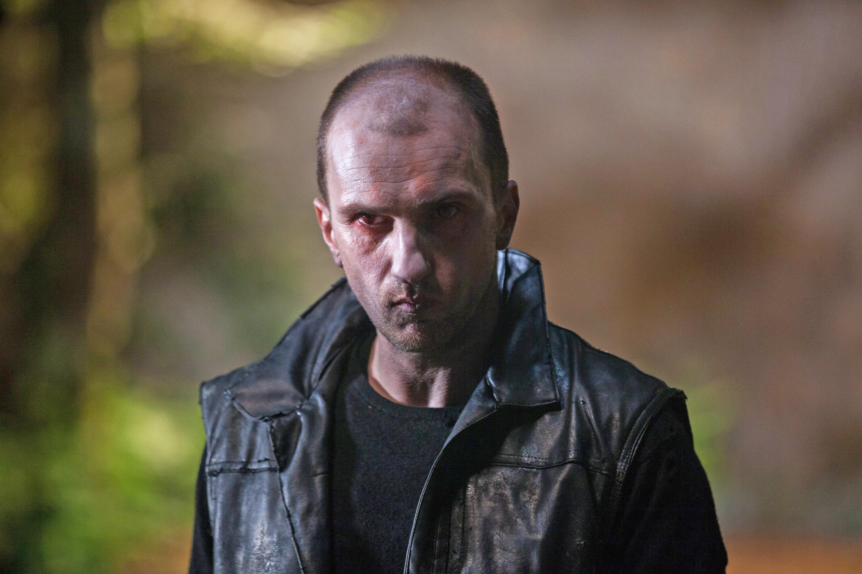 'Vampire Academy' Infographic: Get to Know the Strigoi | Fandango