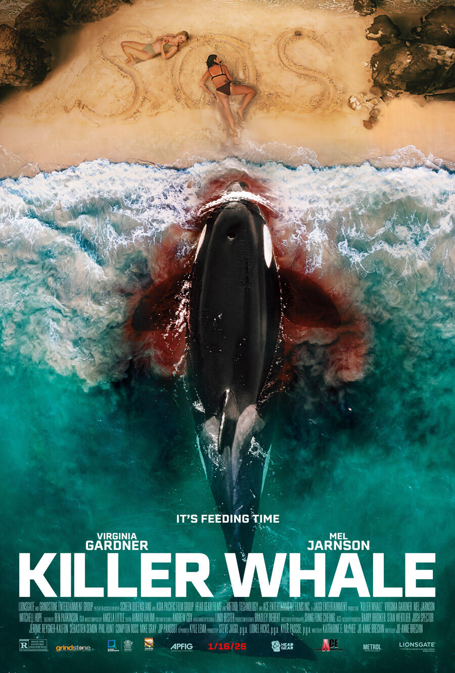 killer whale documentary