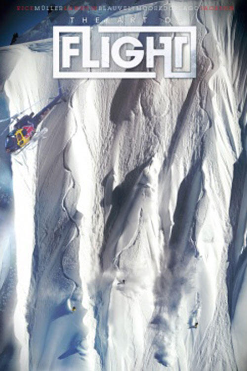 Art Of Flight Poster