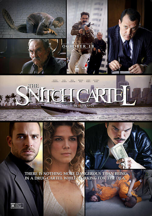 Snitch Movie Poster