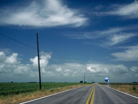 Kabluey Movie Photos and Stills | Fandango