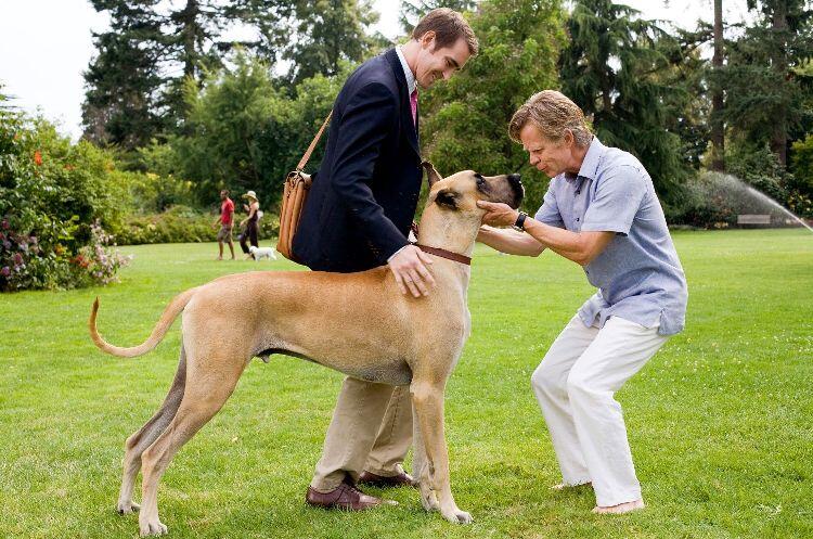 Marmaduke Movie Photos and Stills | Fandango