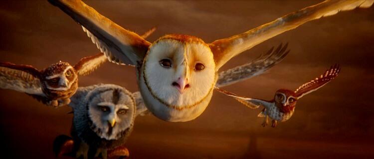 Legend of the Guardians: The Owls of Ga’Hoole: An IMAX 3D Experience ...