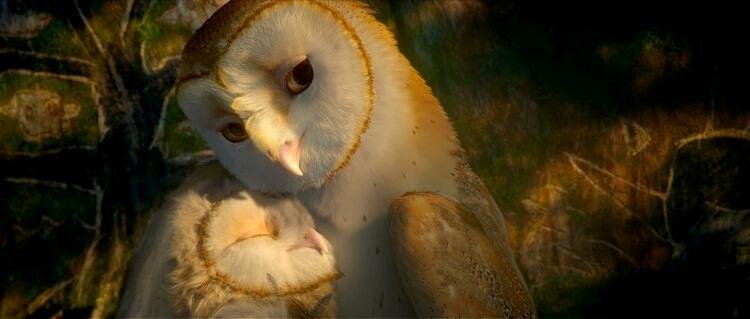 Legend of the Guardians: The Owls of Ga’Hoole: An IMAX 3D Experience ...