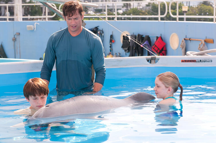 Dolphin Tale Movie Photos and Stills | Fandango