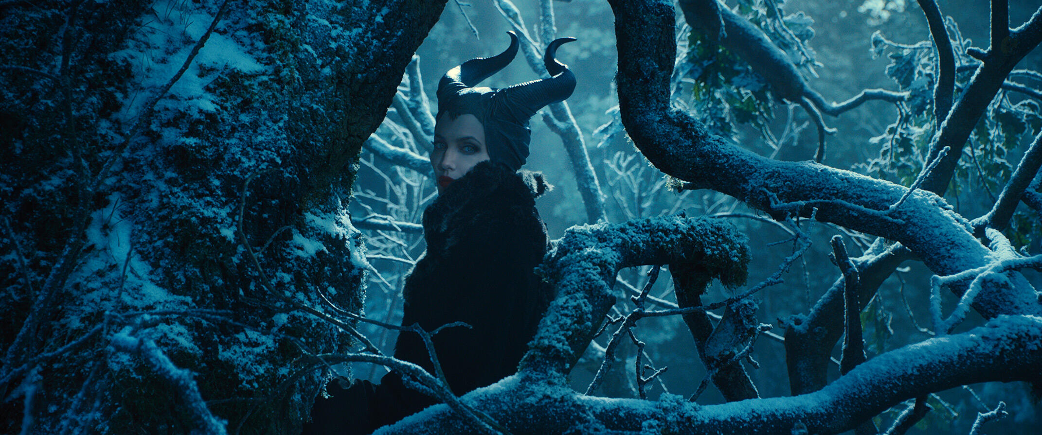 Maleficent Movie Photos and Stills | Fandango