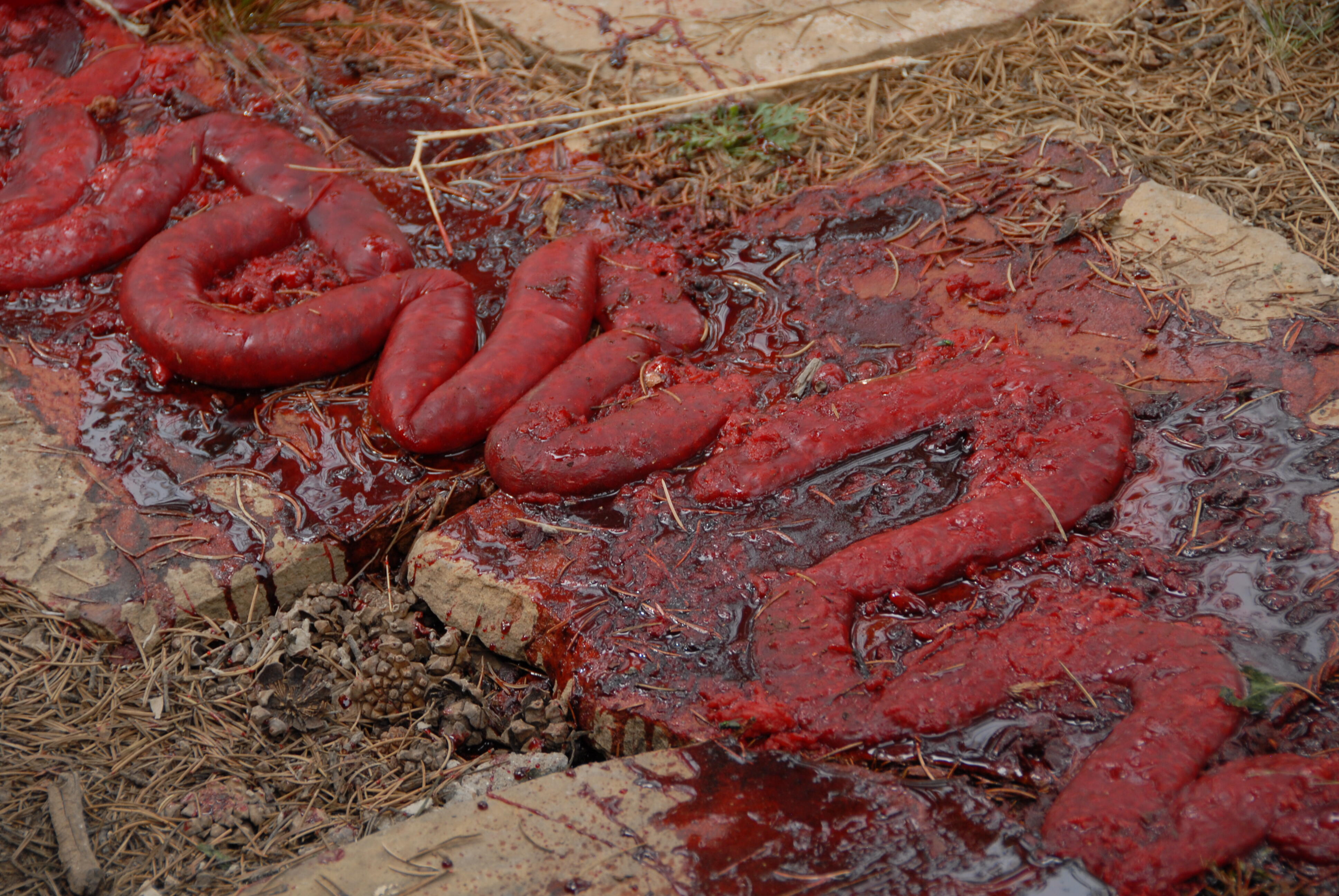 Banshee Chapter Movie Photos and Stills | Fandango