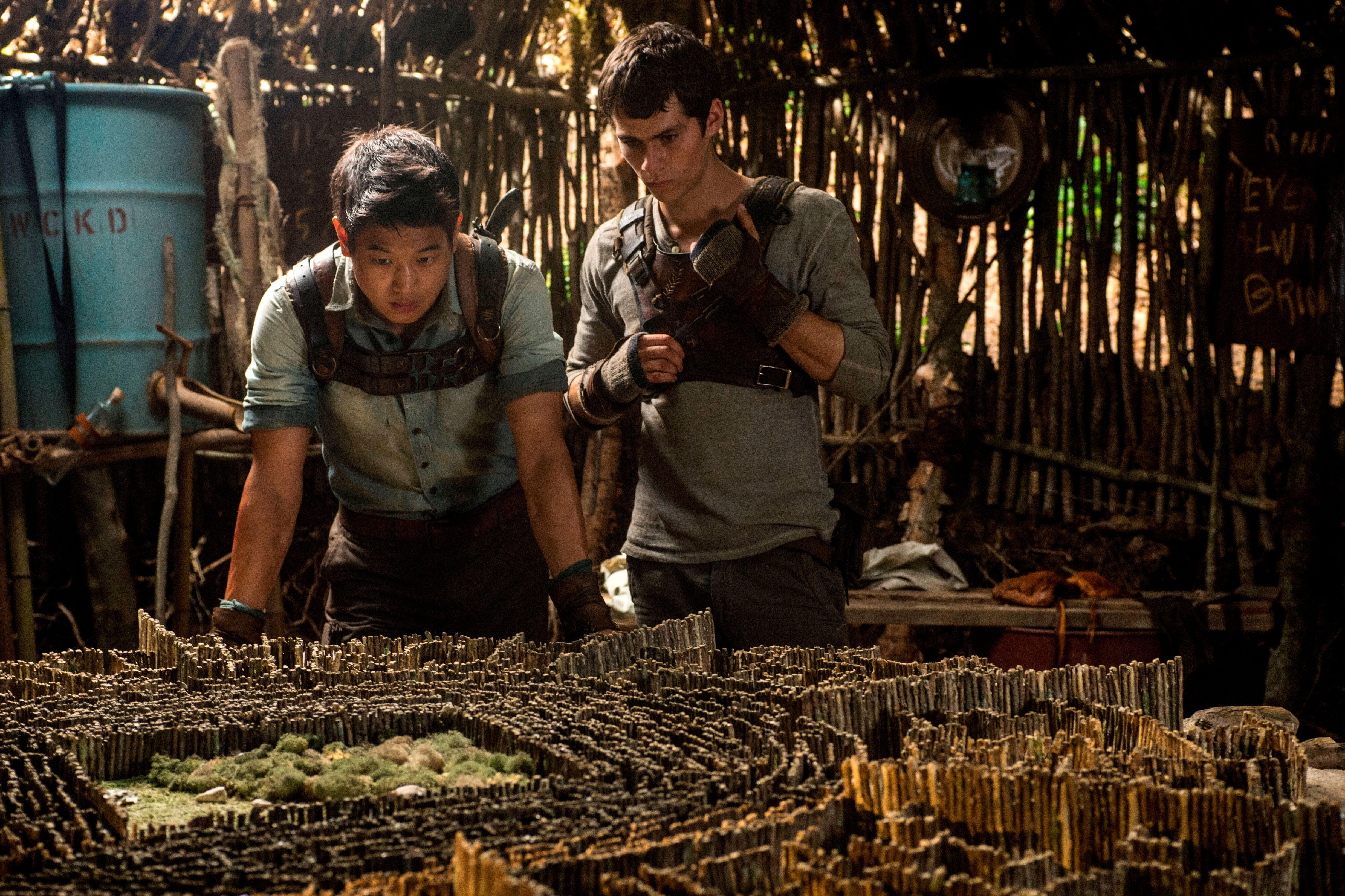 The Maze Runner: The IMAX Experience Movie Photos and Stills | Fandango