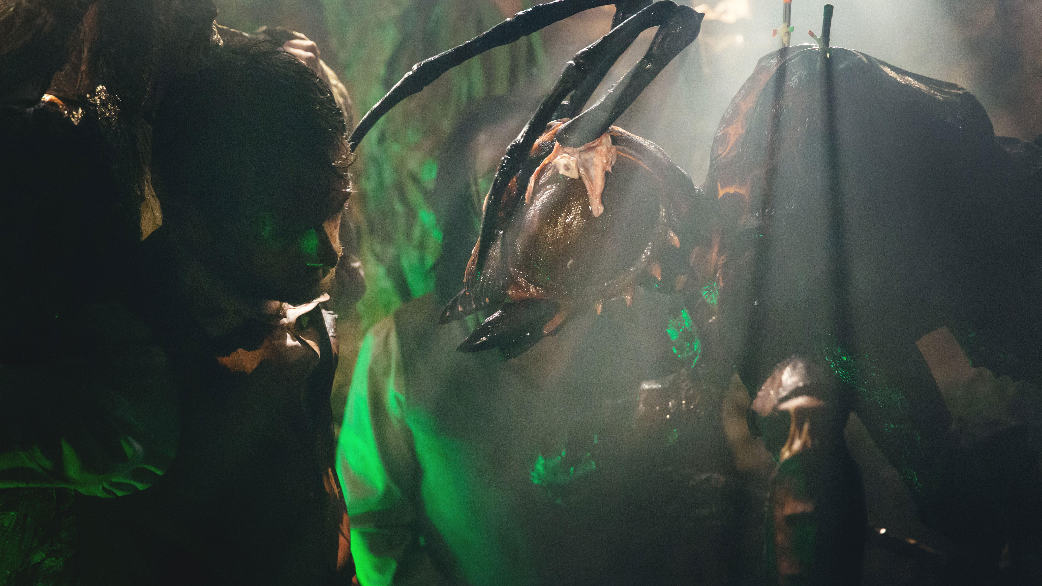 Stung Movie Photos and Stills | Fandango