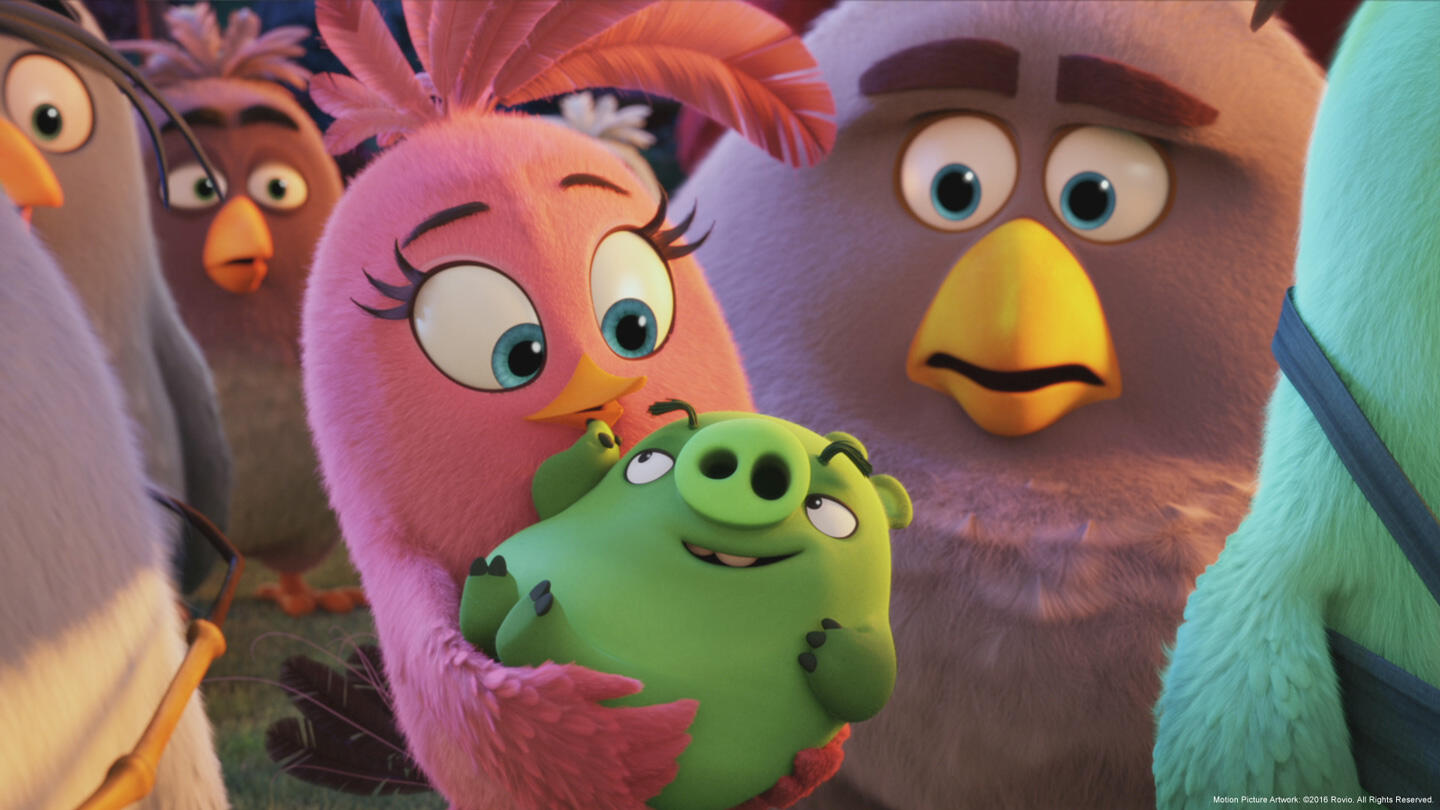 The Angry Birds Movie Movie Photos and Stills | Fandango