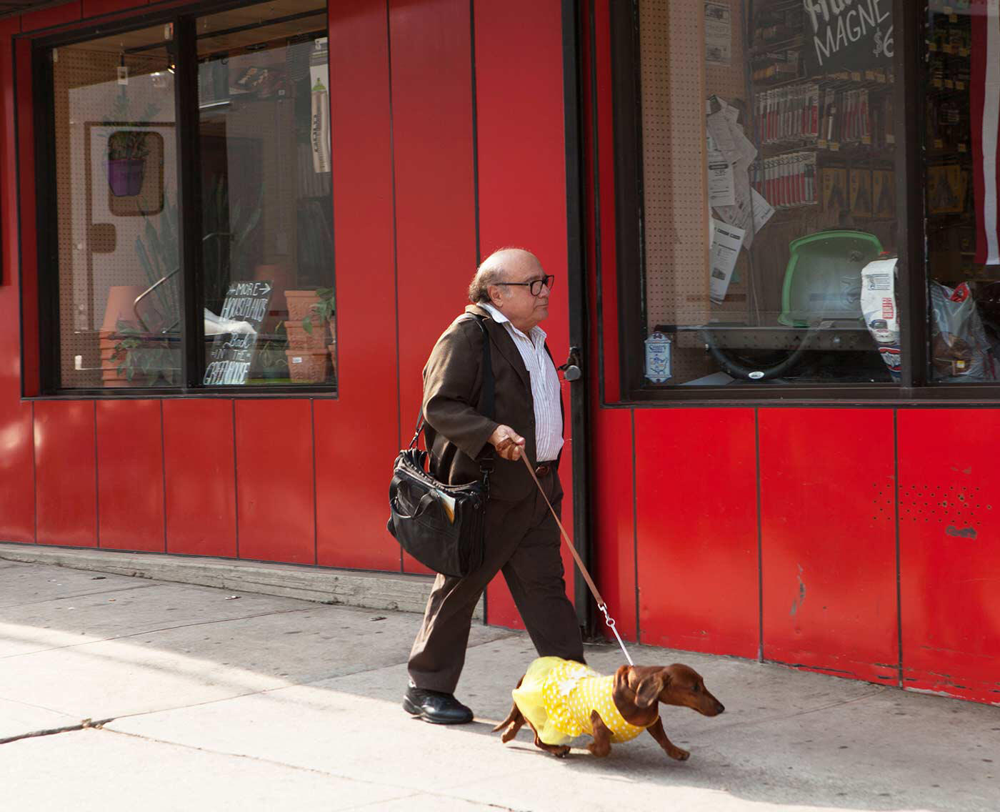 Wiener-Dog Movie Photos and Stills | Fandango