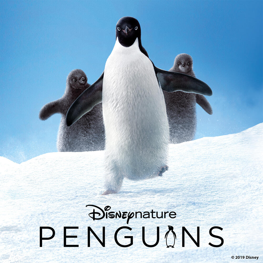 Penguins (2019) Movie Photos and Stills | Fandango