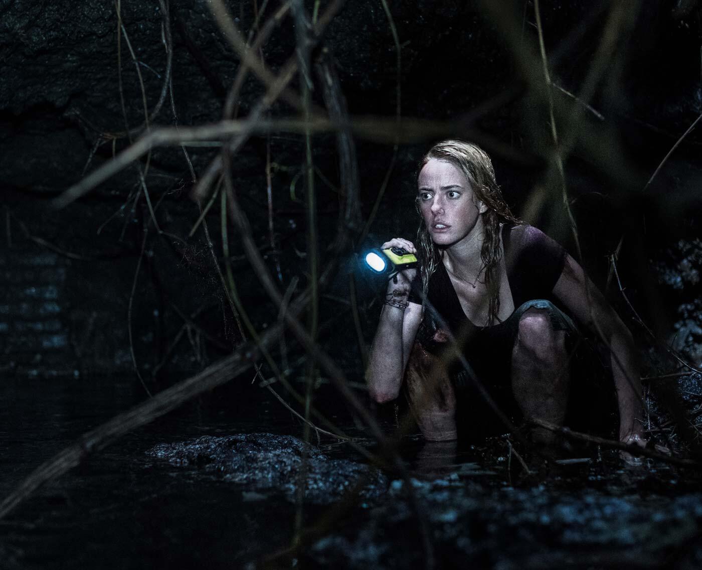 Crawl (2019) Movie Photos and Stills | Fandango