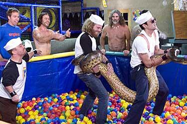 Jackass: Number Two Movie Photos and Stills | Fandango