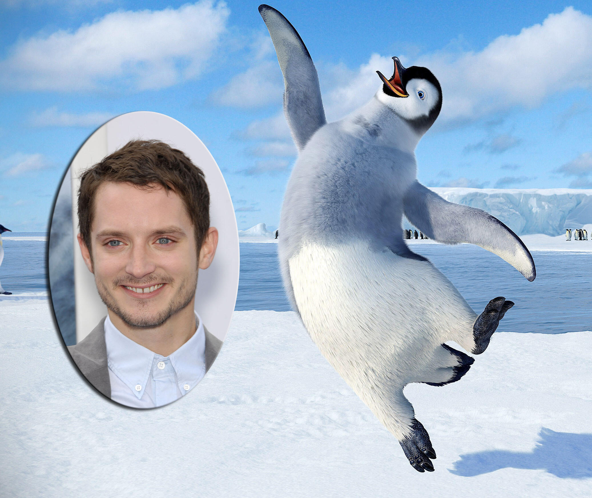 Squawk Talk: Who Voiced These Movie Birds? | Fandango