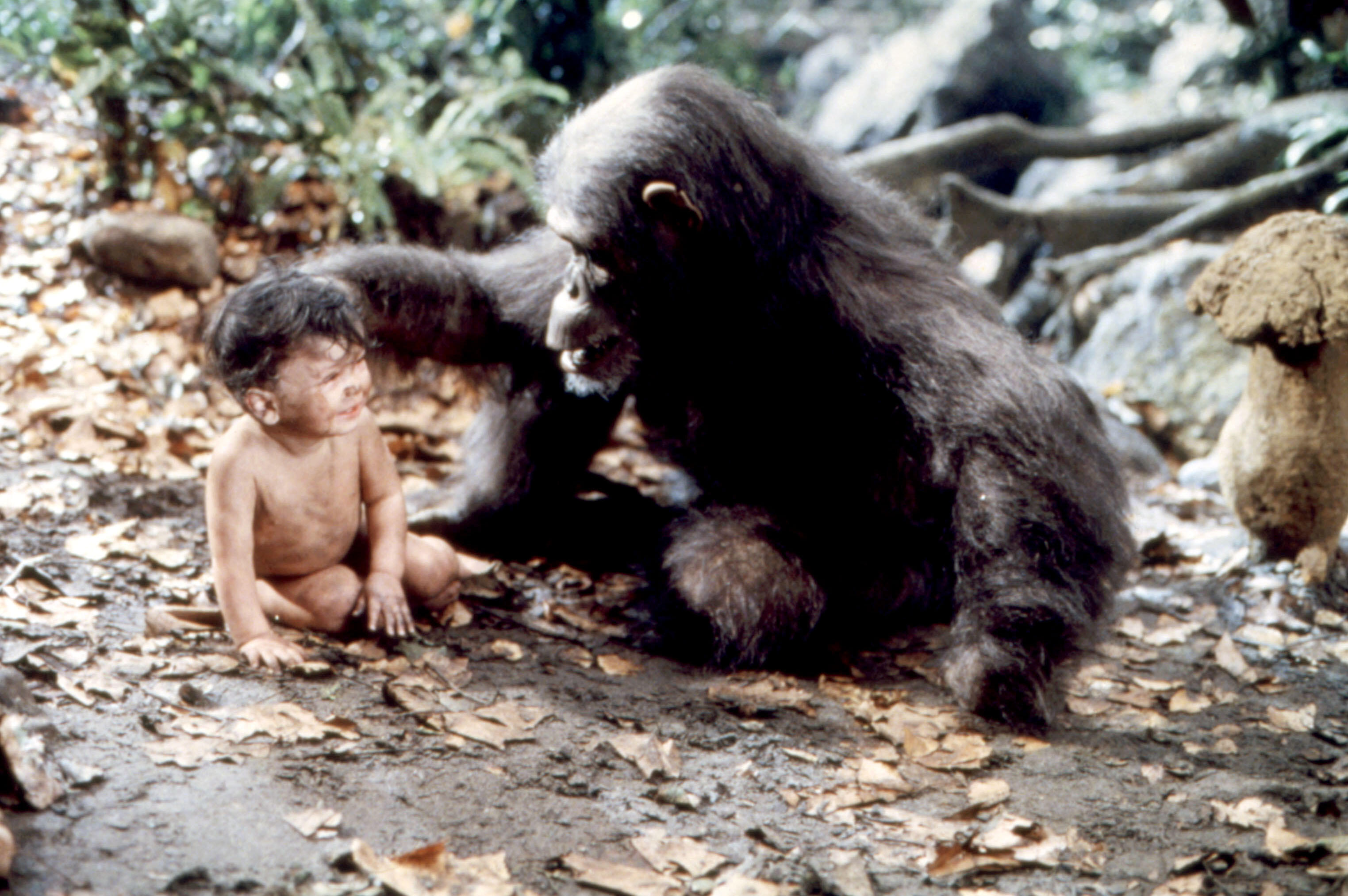 The Evolution of Monkey Movies | Fandango