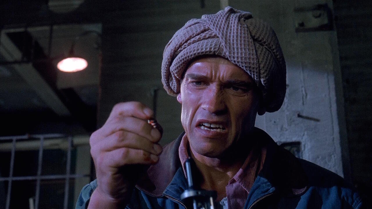 Arnold Schwarzenegger's Best Roles | Fandango