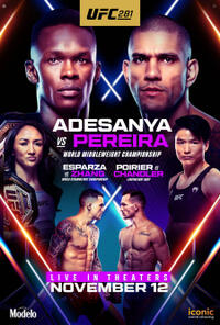 ufc 281 poster