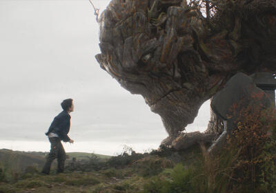 Poltergeist Tree Eats Boy