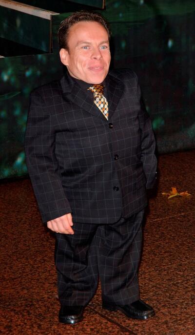 warwick davis carpets