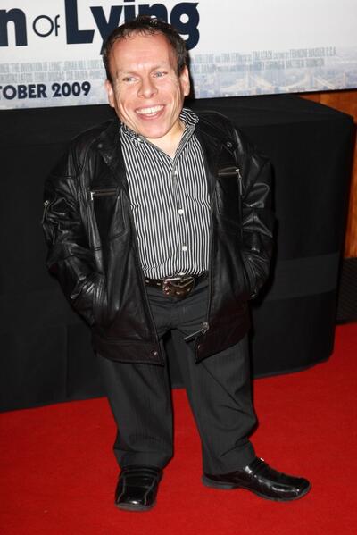 warwick davis carpets