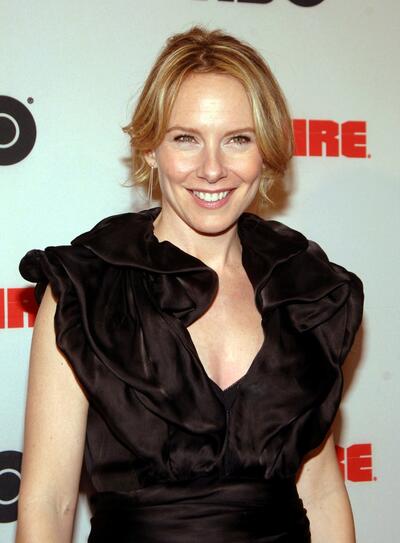 amy ryan the wire
