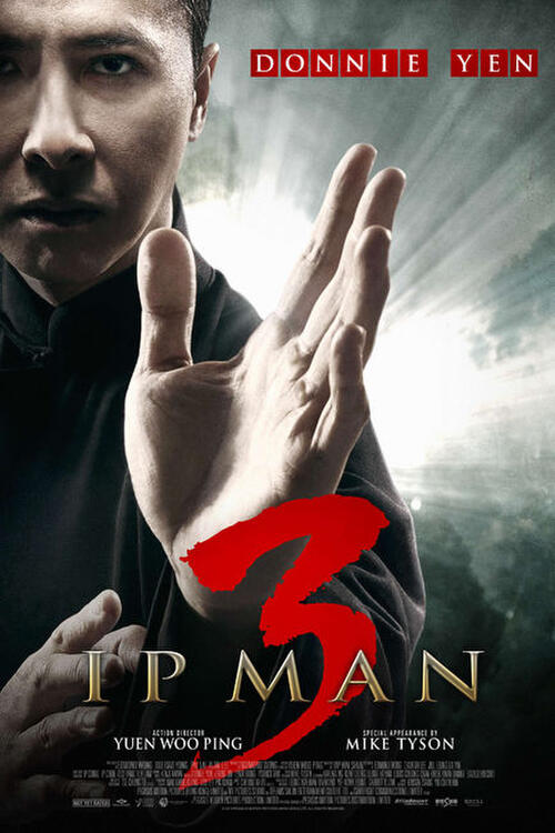 ip man 3 3d