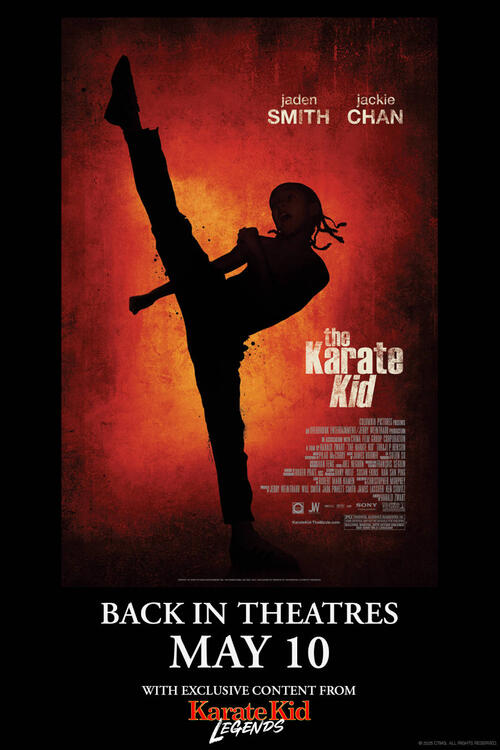 karate kid description