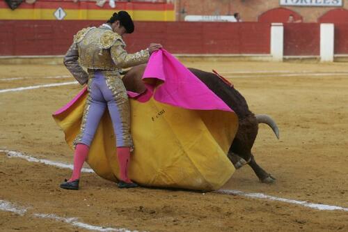 The Matador (2008) Tickets & Showtimes | Fandango