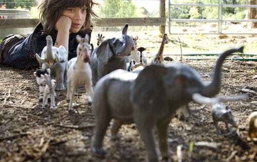 The Horse Boy Movie Tickets & Showtimes Near You | Fandango