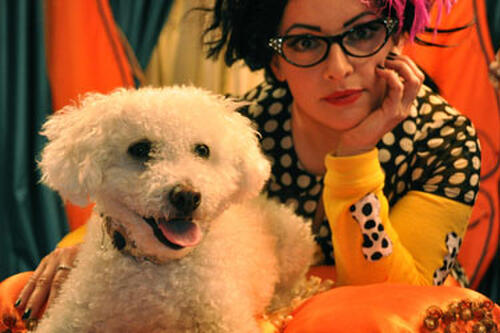 Doggie B Movie Tickets & Showtimes Near You | Fandango