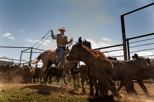 Farmland Movie Tickets & Showtimes Near You | Fandango