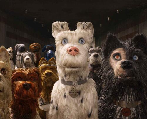 Isle of Dogs Movie Tickets & Showtimes Near You | Fandango