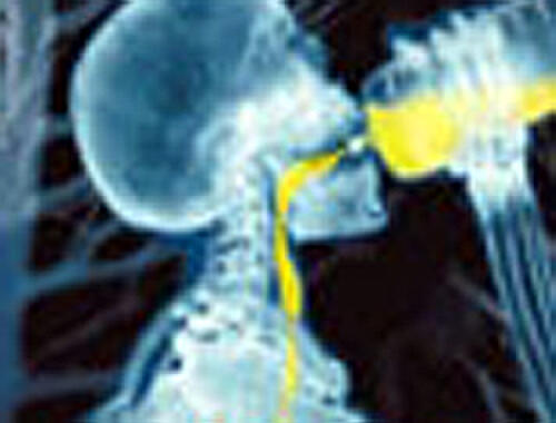 The Human Body Movie Tickets & Showtimes Near You | Fandango