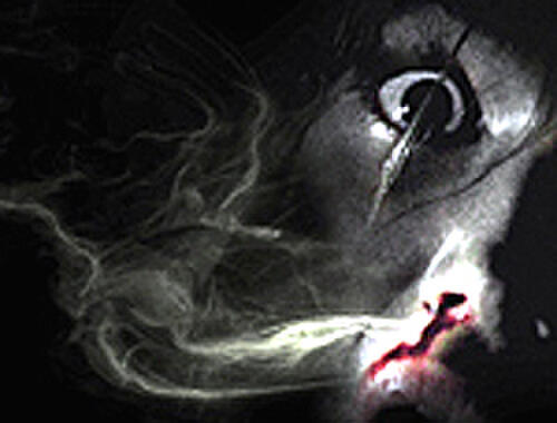 Reeker Movie Tickets & Showtimes Near You | Fandango