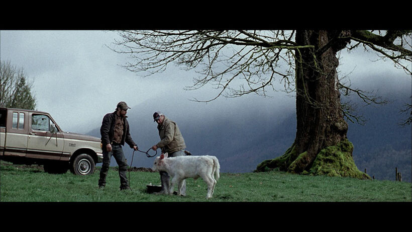 A Single Shot Movie Tickets & Showtimes Near You | Fandango