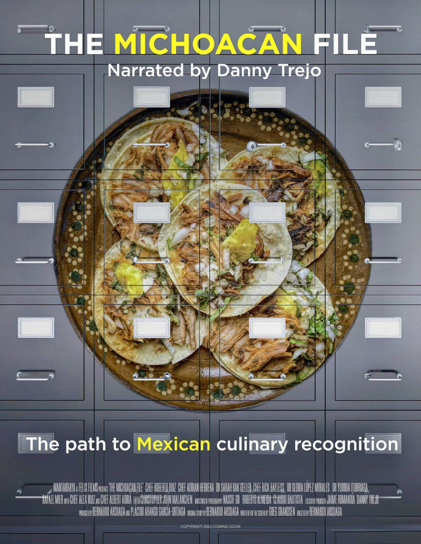The Michoacan File (2024) Showtimes | Fandango