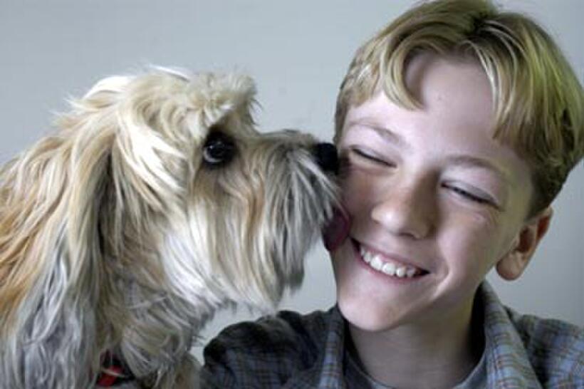 Benji: Off the Leash! Tickets & Showtimes | Fandango