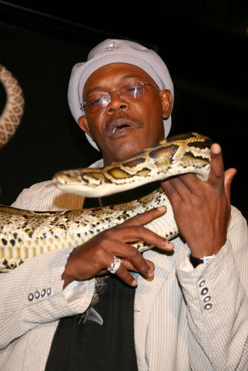 Samuel L Jackson Snakes On A Plane