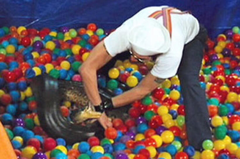 Classic Jackass Movie Stunts | Fandango