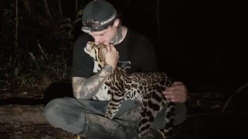 Wildcat (2022) | Fandango