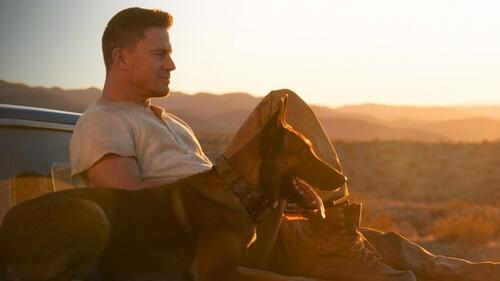 Dog (2022) | Fandango