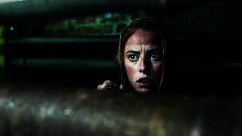 Crawl (2019) | Fandango