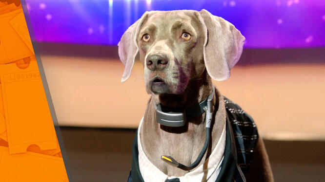 Pup Star Movie Tickets & Showtimes Near You | Fandango