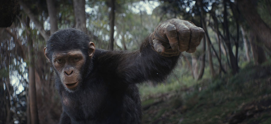 Watch Exclusive Kingdom Of The Planet Of The Apes Preview Fandango