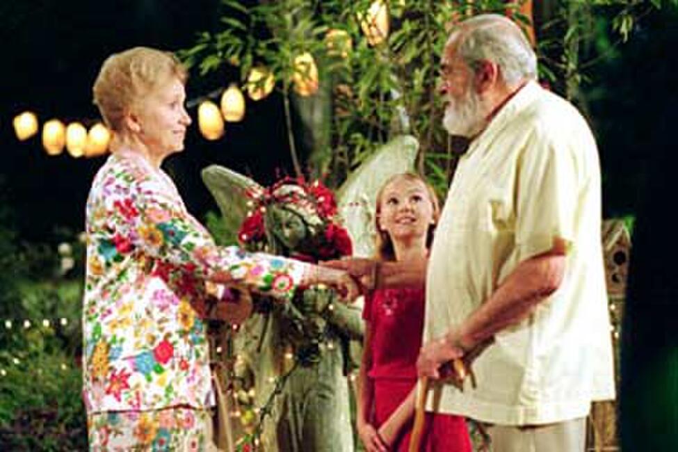 Because of Winn-Dixie (2005) Movie Photos and Stills - Fandango