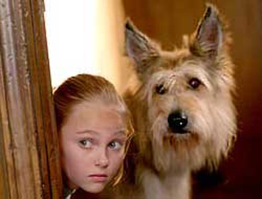 Because of Winn-Dixie (2005) Movie Photos and Stills - Fandango