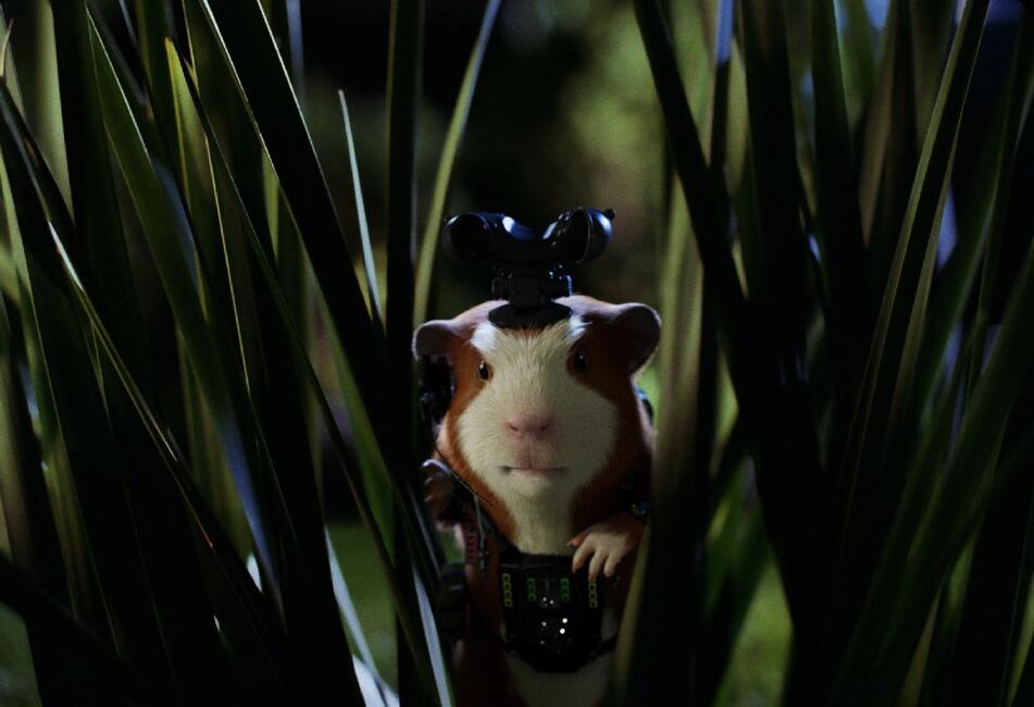 G-Force (2009) Movie Photos and Stills - Fandango